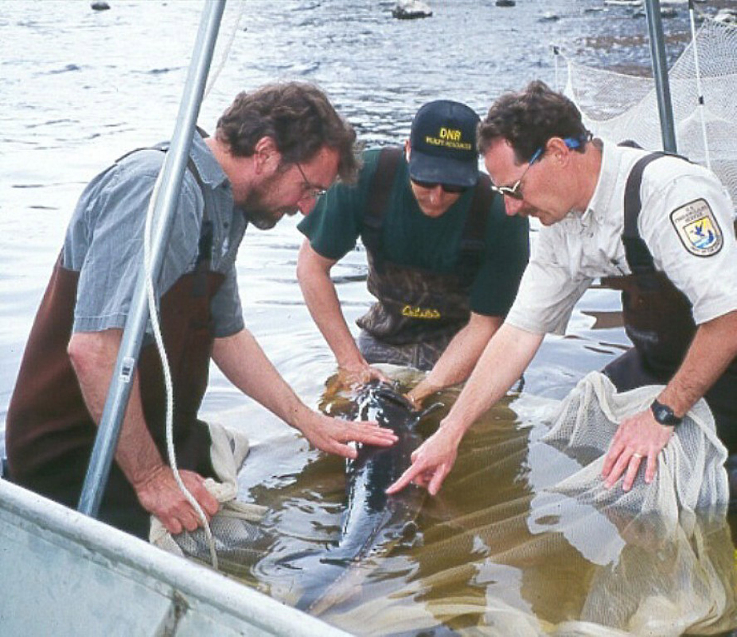 The Way We Worked: Protecting Wildlife in the Water – NARFE
